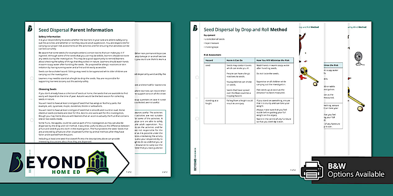Seed Dispersal Practical | Science Home Learning | Beyond