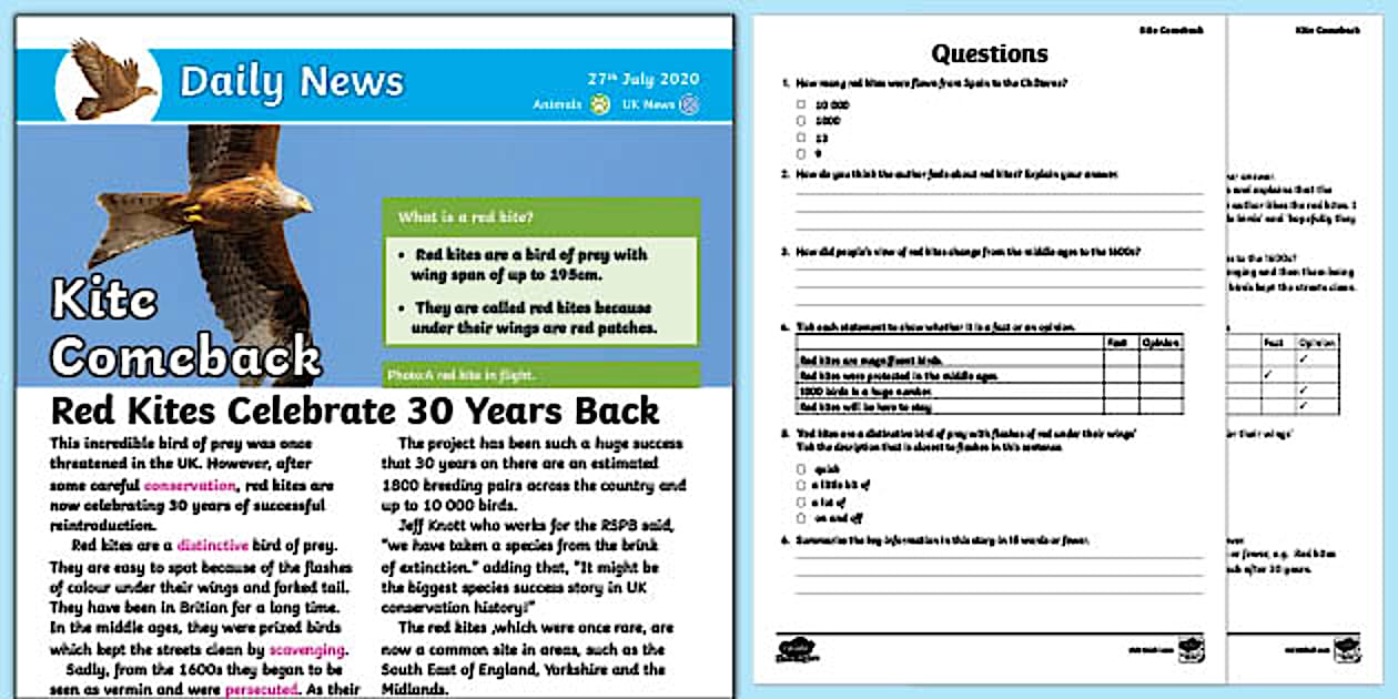 Red Kite Reading Comprehension | Twinkl NewsRoom Resources