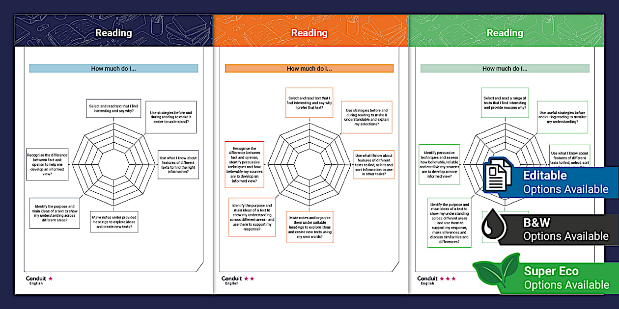BGE Self-Assessment: Reading - Twinkl