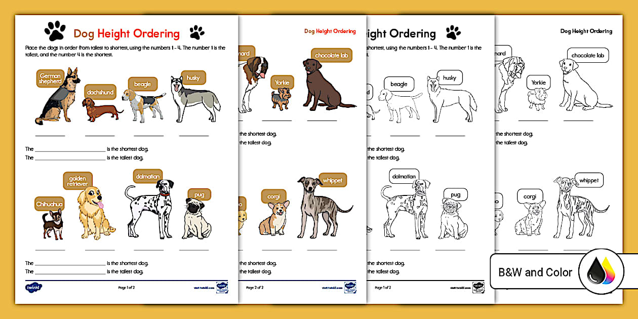 Dog Height Ordering Worksheet for Kids | Twinkl USA
