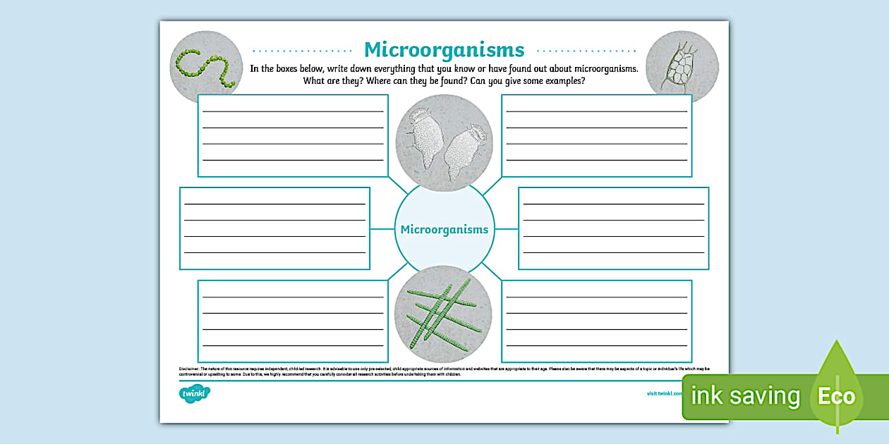 Microorganisms Mind Map (teacher made) - Twinkl