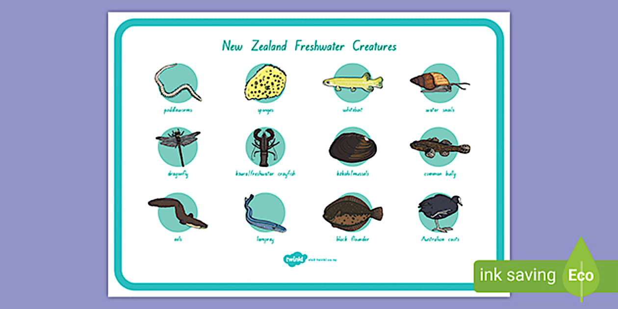 Editable New Zealand Freshwater Creatures Word Mat - Twinkl