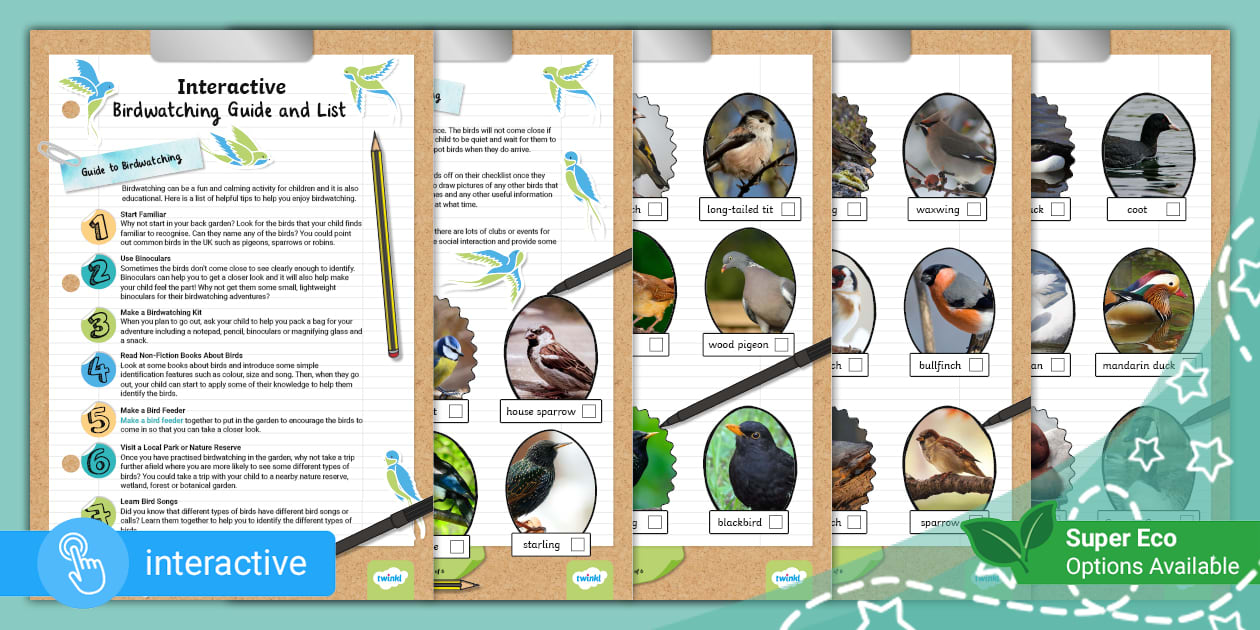 Interactive Birdwatching Guide and Checklist (teacher made)