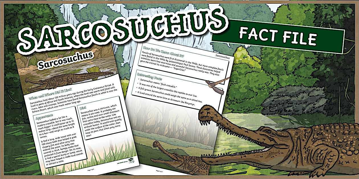 Sarcosuchus Fact File