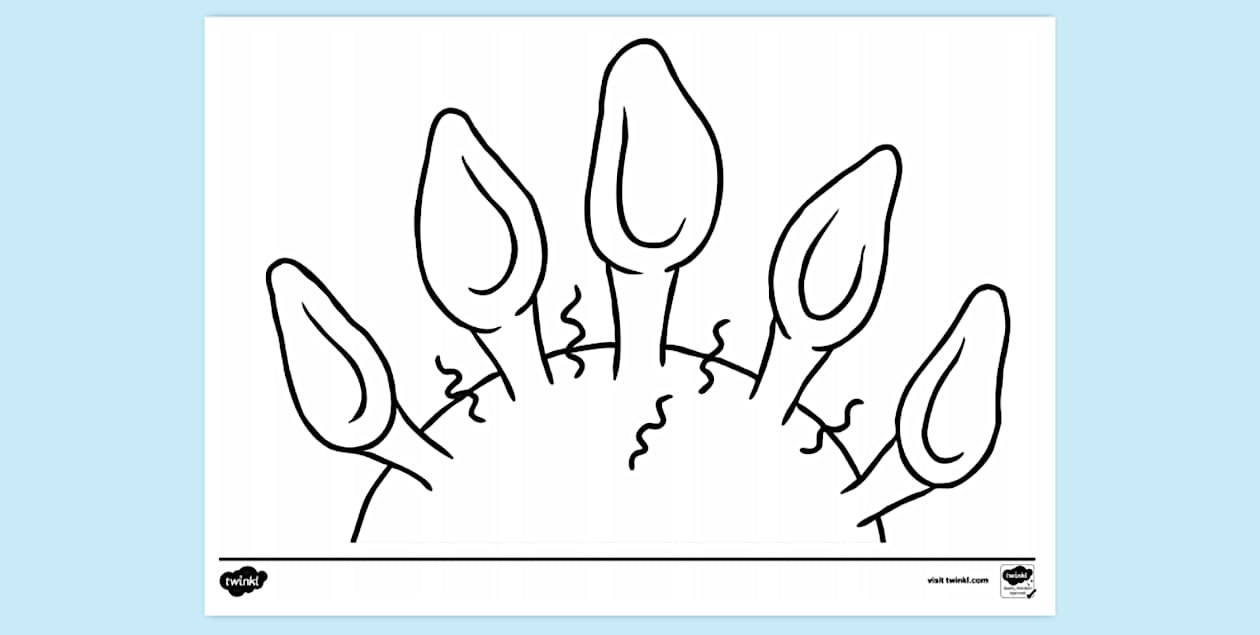 Javelin Top of Head Colouring | Colouring Sheet - Twinkl