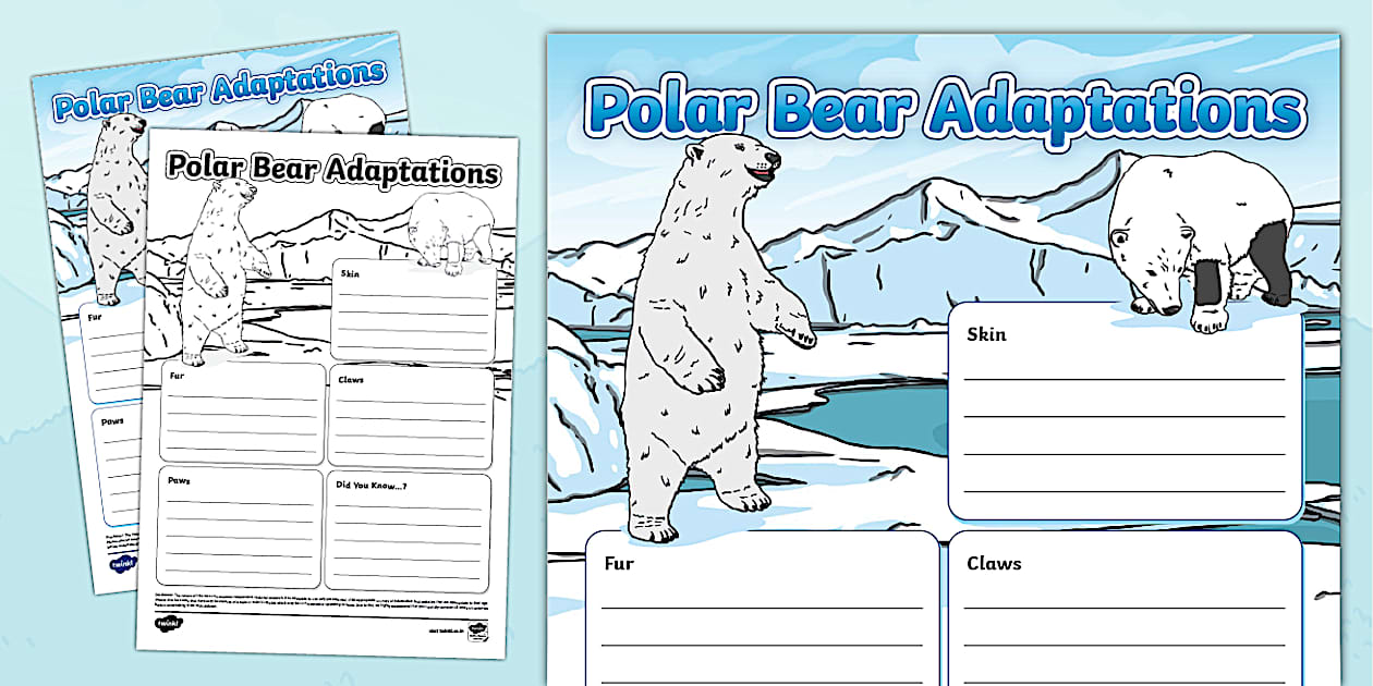 Polar Bear Adaptations Fact File Template (teacher made)