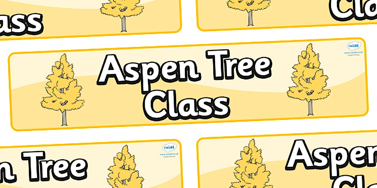 Aspen Themed Classroom Display Banner (teacher made)