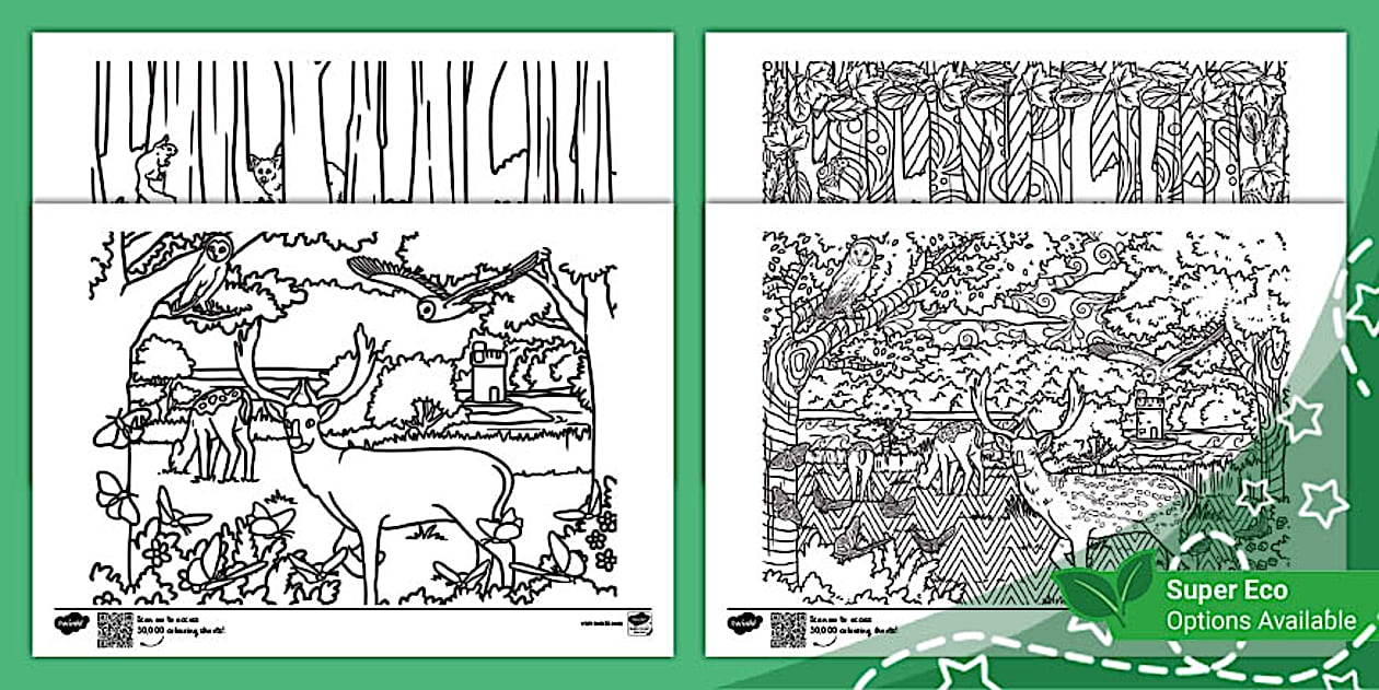 My First Woodland Animals Mindfulness Colouring Pages