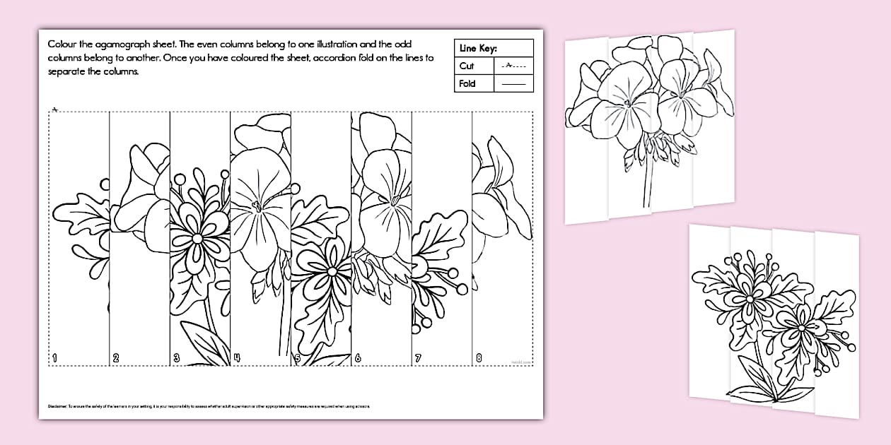 Flowers Agamograph - Twinkl Colouring Canada (teacher made)