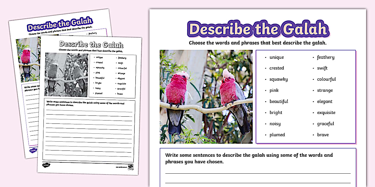Describe the Galah Worksheet (teacher made) - Twinkl