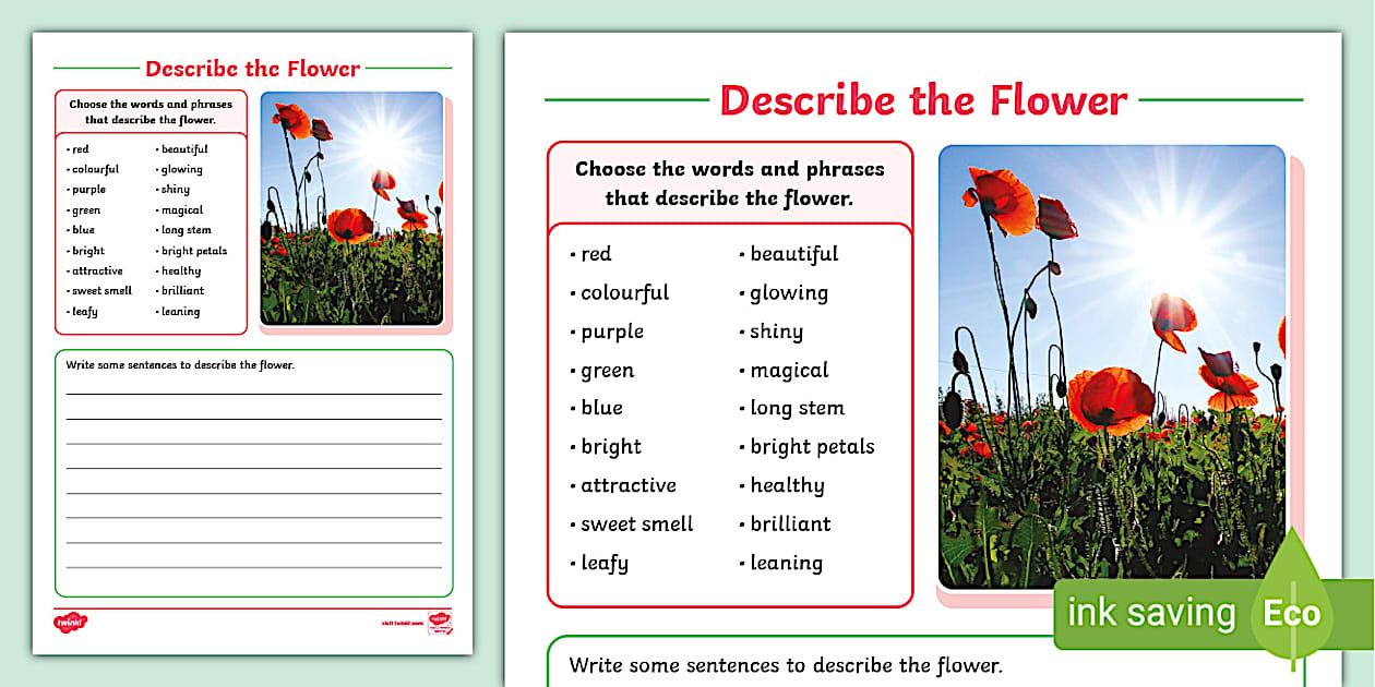 Describe a Flower Writing Activity | KS1 English - Twinkl