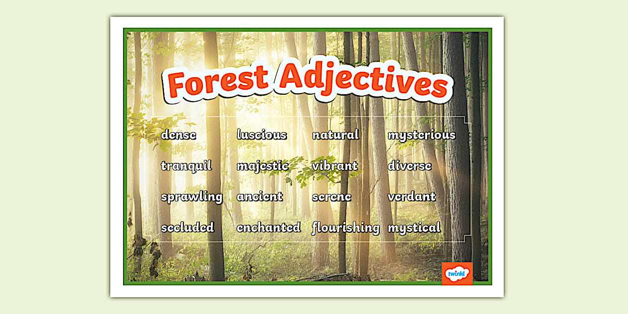 Forest Adjectives Photo Display Poster (Teacher-Made)