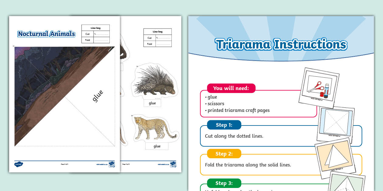 Nocturnal Animals Triarama Craft