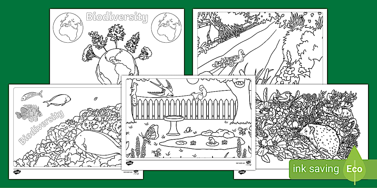Printable Biodiversity Colouring Pages