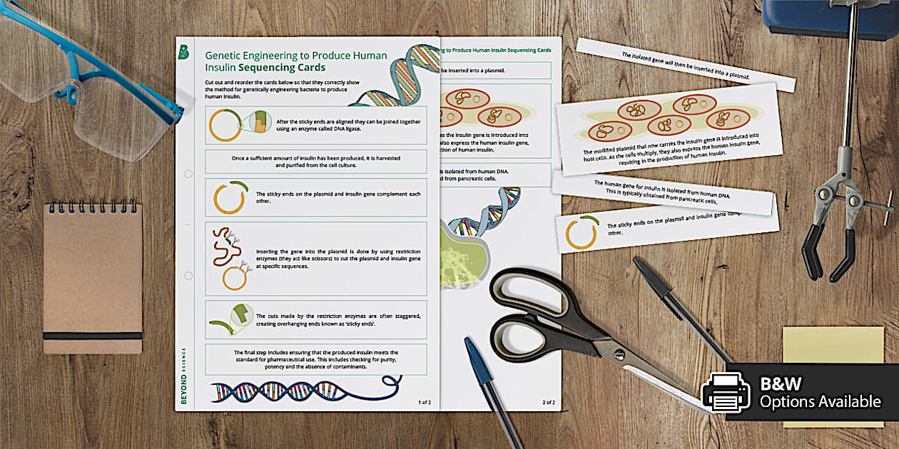 Genetic Engineering to Produce Human Insulin Sequencing Cards