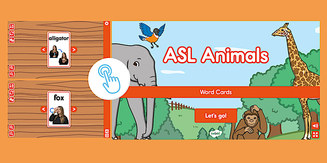 ASL Animals Interactive Word Cards (teacher made) - Twinkl