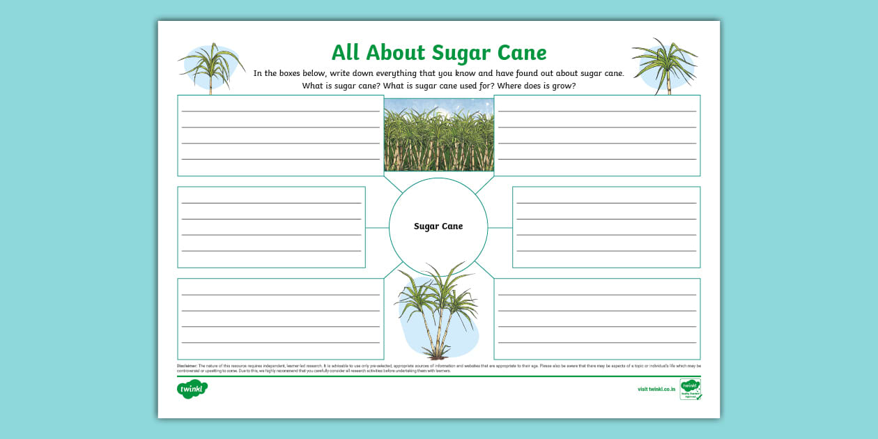 All About Sugar Cane Mind Map