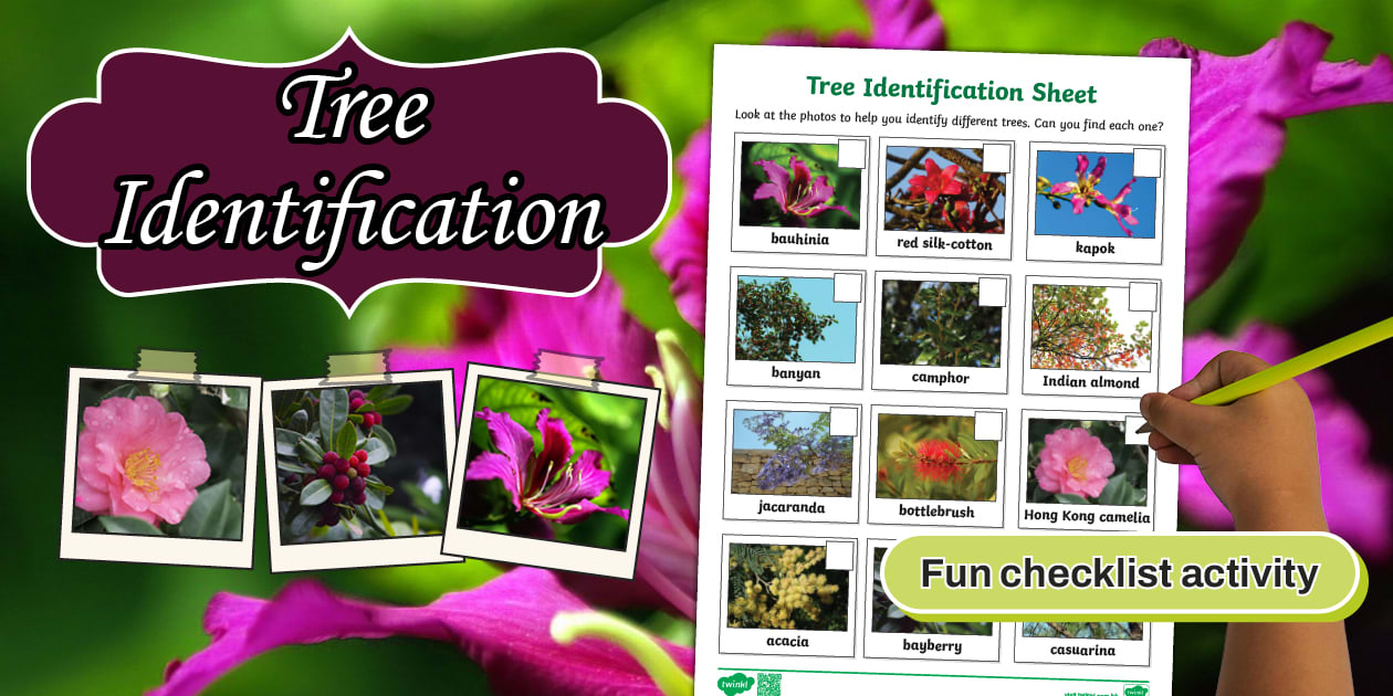 Tree Identification Checklist