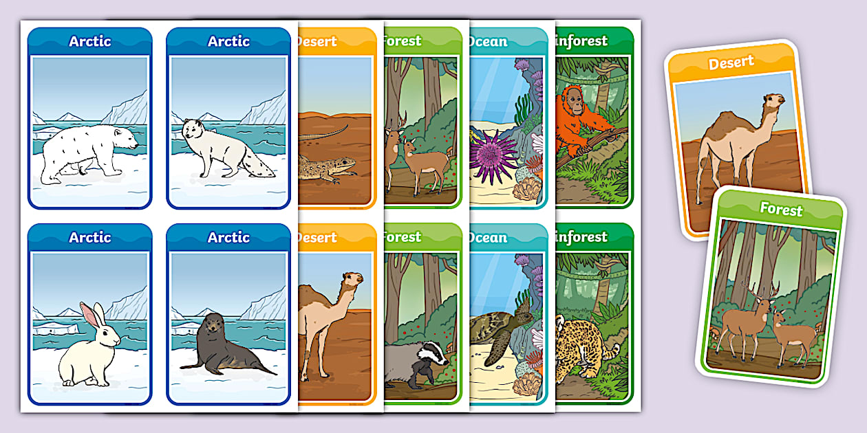 Animal Habitats Flashcards (teacher made) - Twinkl