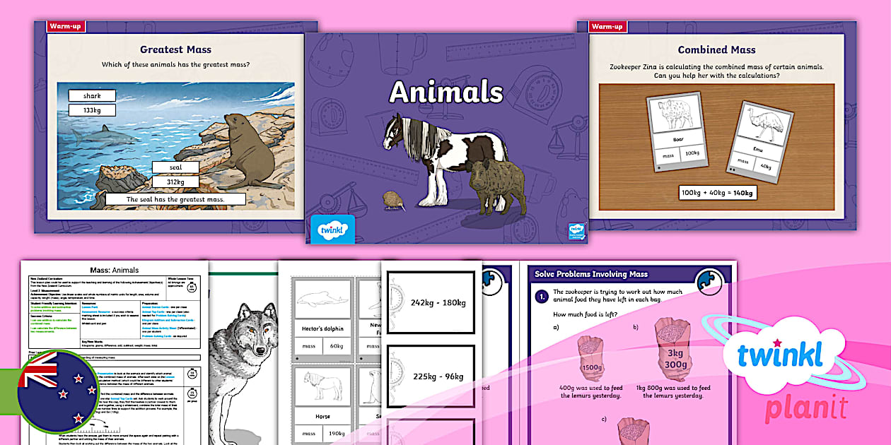 Level 3 Mass: Solve Problems Involving Mass Lesson 1