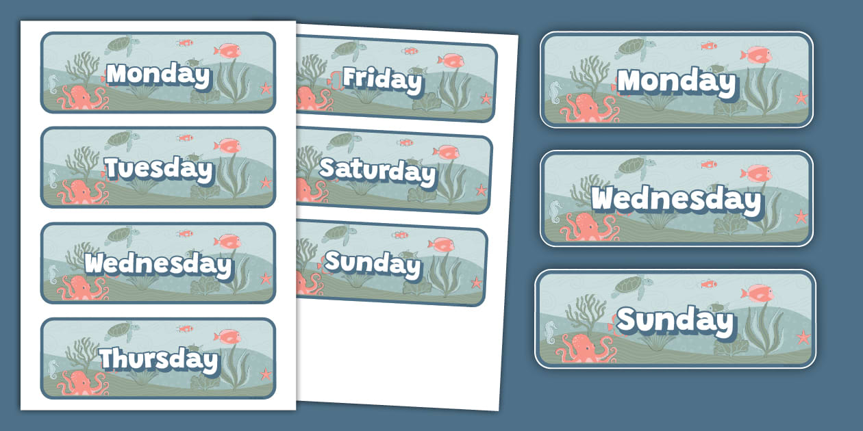 Under the Sea Themed Days of the Week Labels (teacher made)