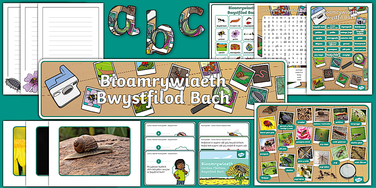Bwystfilod Bach: Adnoddau Ychwanegol Gwyddoniaeth – Bioamrywiaeth