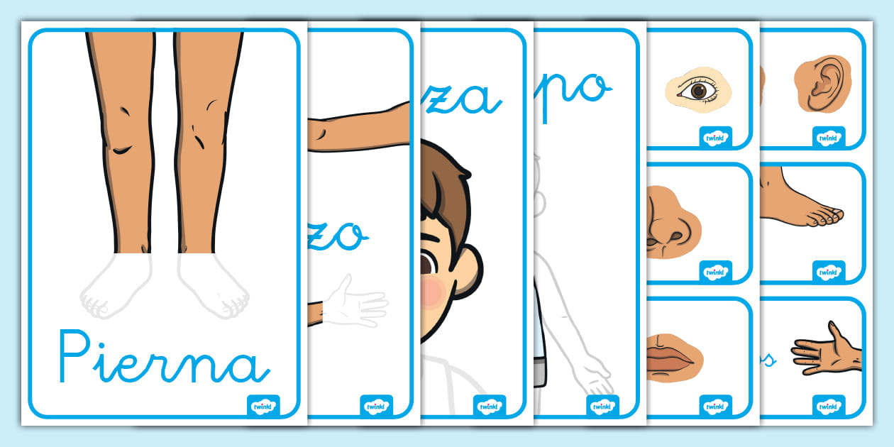 Actividad de recortar: Las partes del cuerpo - Twinkl