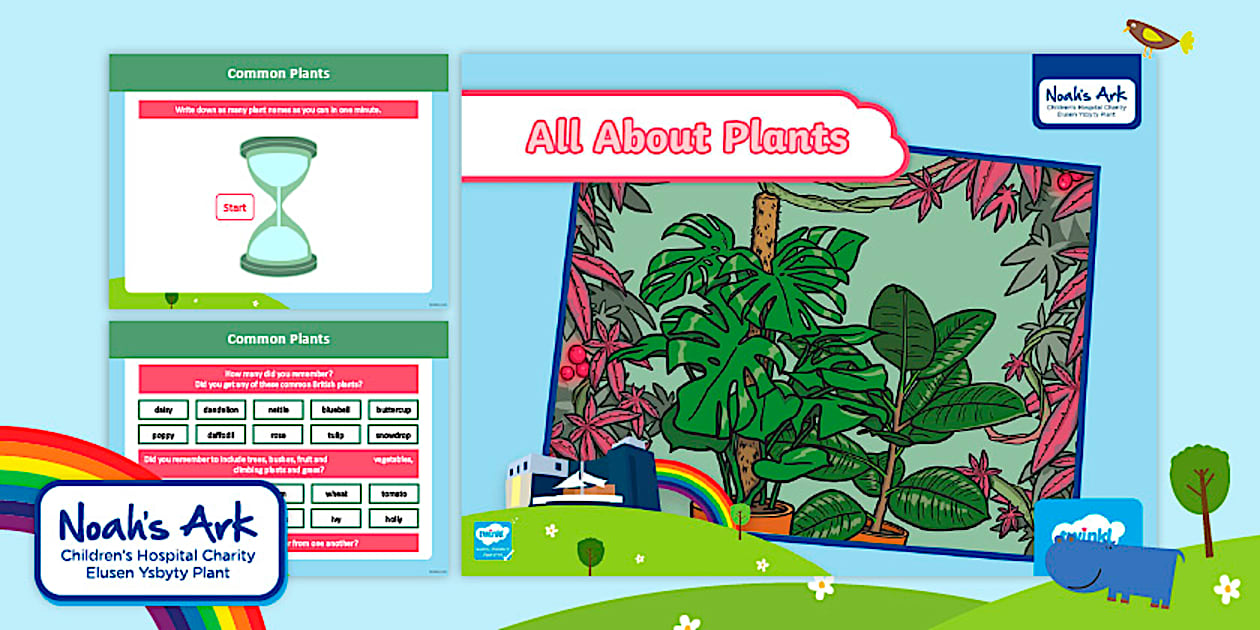 FREE! - All About Plants Powerpoint (teacher made) - Twinkl