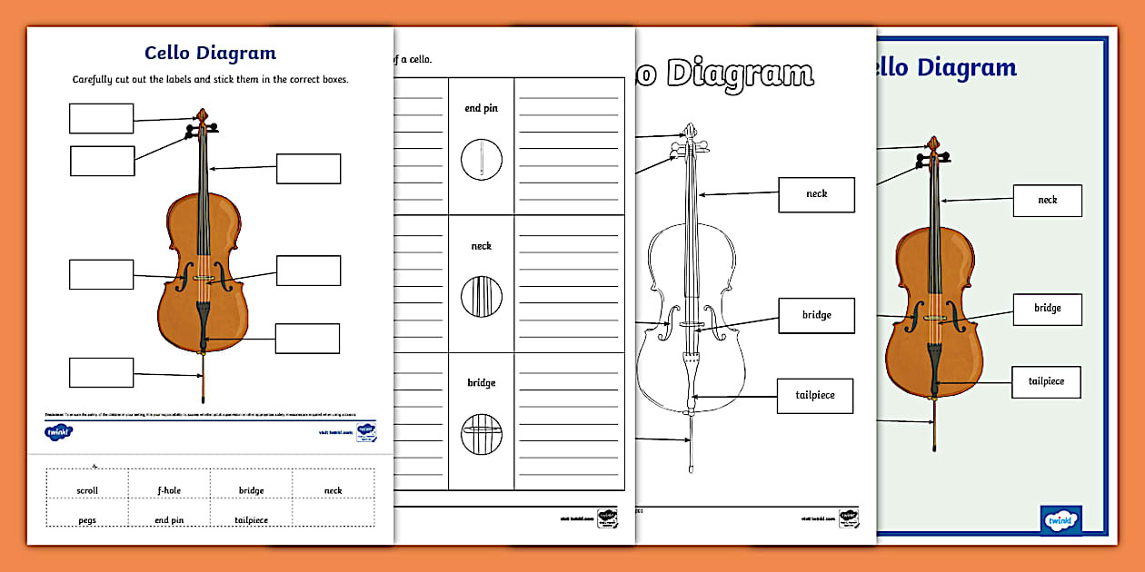 👉 Cello Diagram Pack (teacher made) - Twinkl