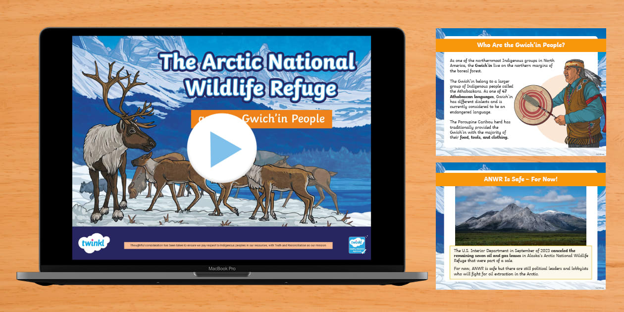 FREE! - The Arctic National Wildlife Refuge (PowerPoint)