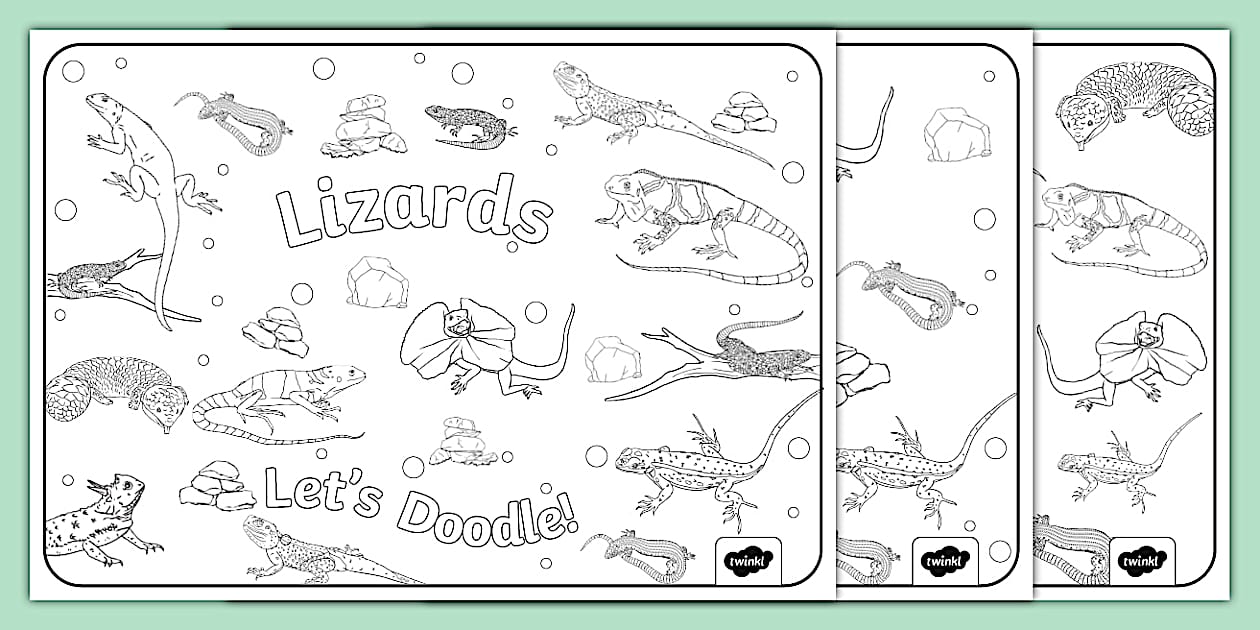 Let's Doodle Lizard-Themed Colouring Pages (teacher made)