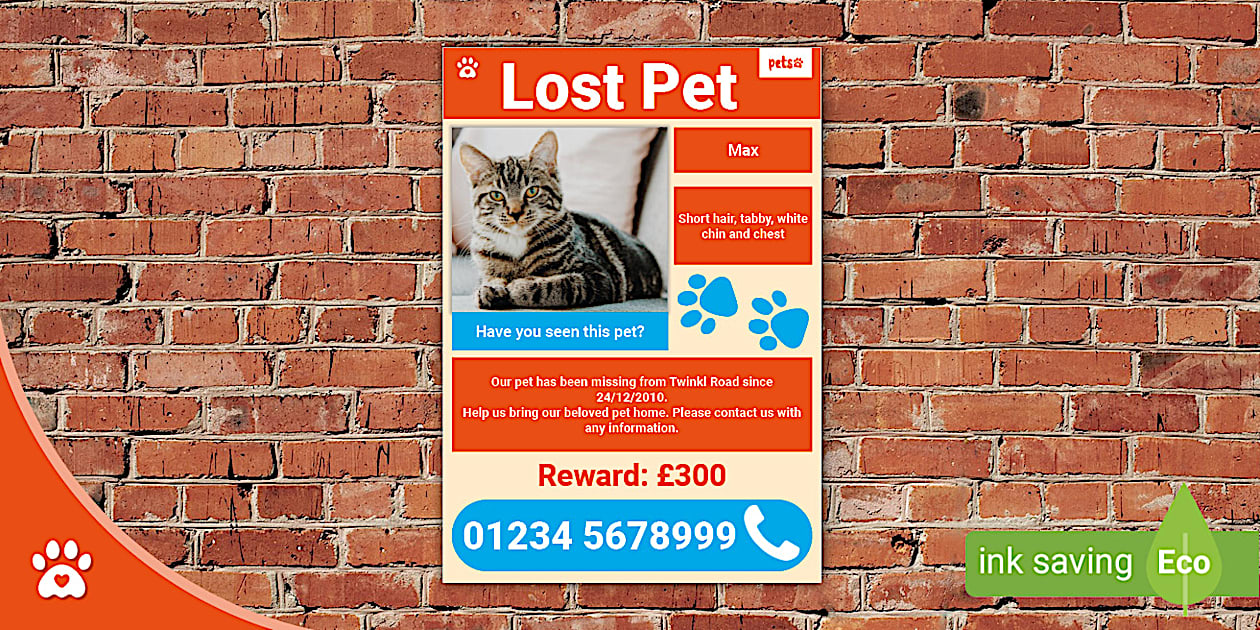 Missing Pet Poster Template - Editable Missing Pet Poster