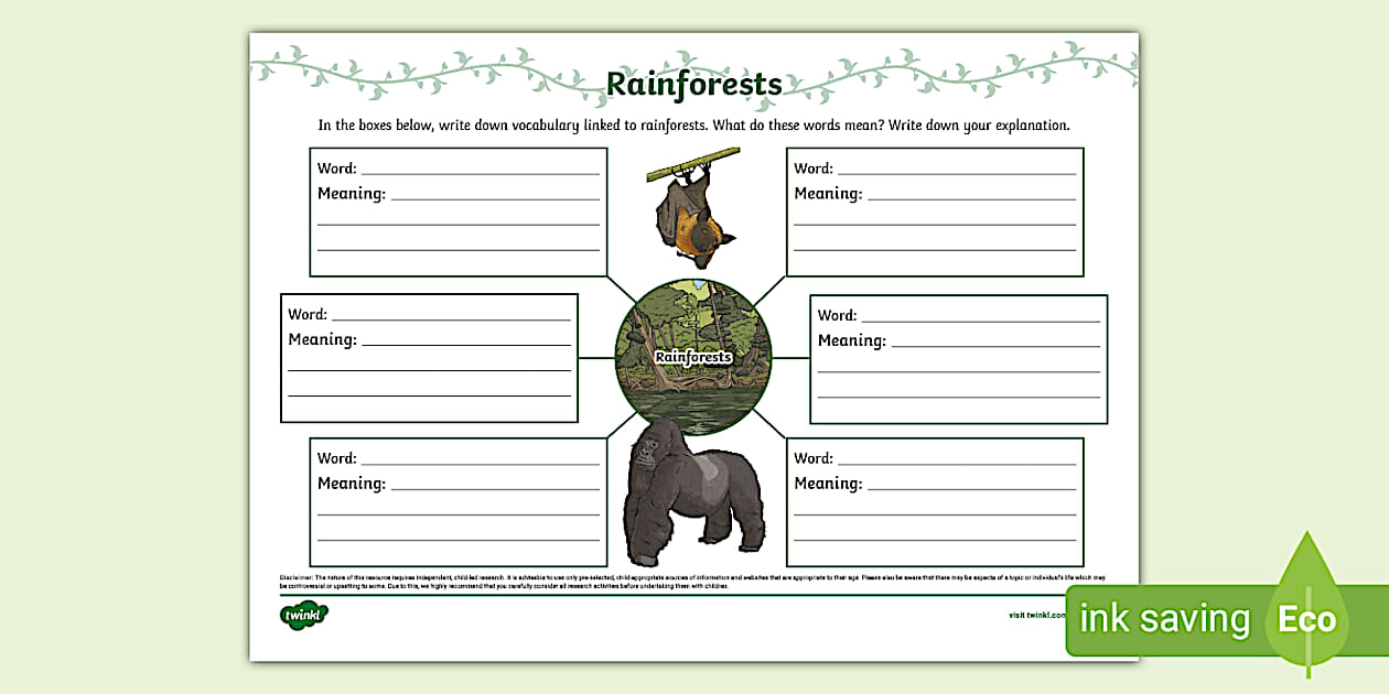 Rainforest Vocabulary Mind Map (teacher made) - Twinkl