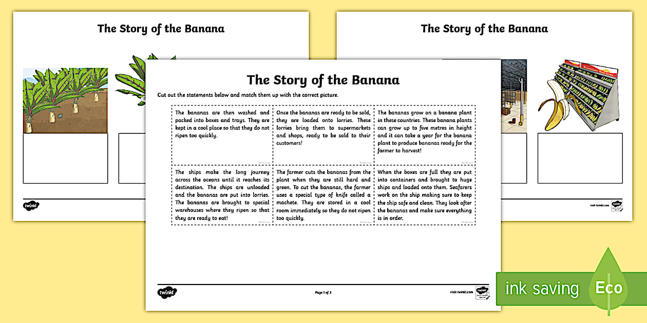 Editable The Story of the Banana Ordering Worksheet - Twinkl