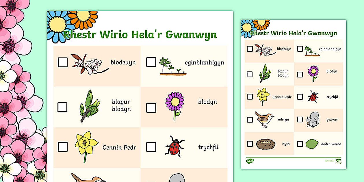 Spring Hunt Check List Worksheet / Worksheet Welsh - Twinkl