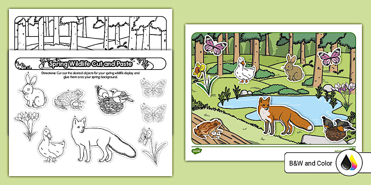 Spring Wildlife Cut and Paste Activity (teacher made)