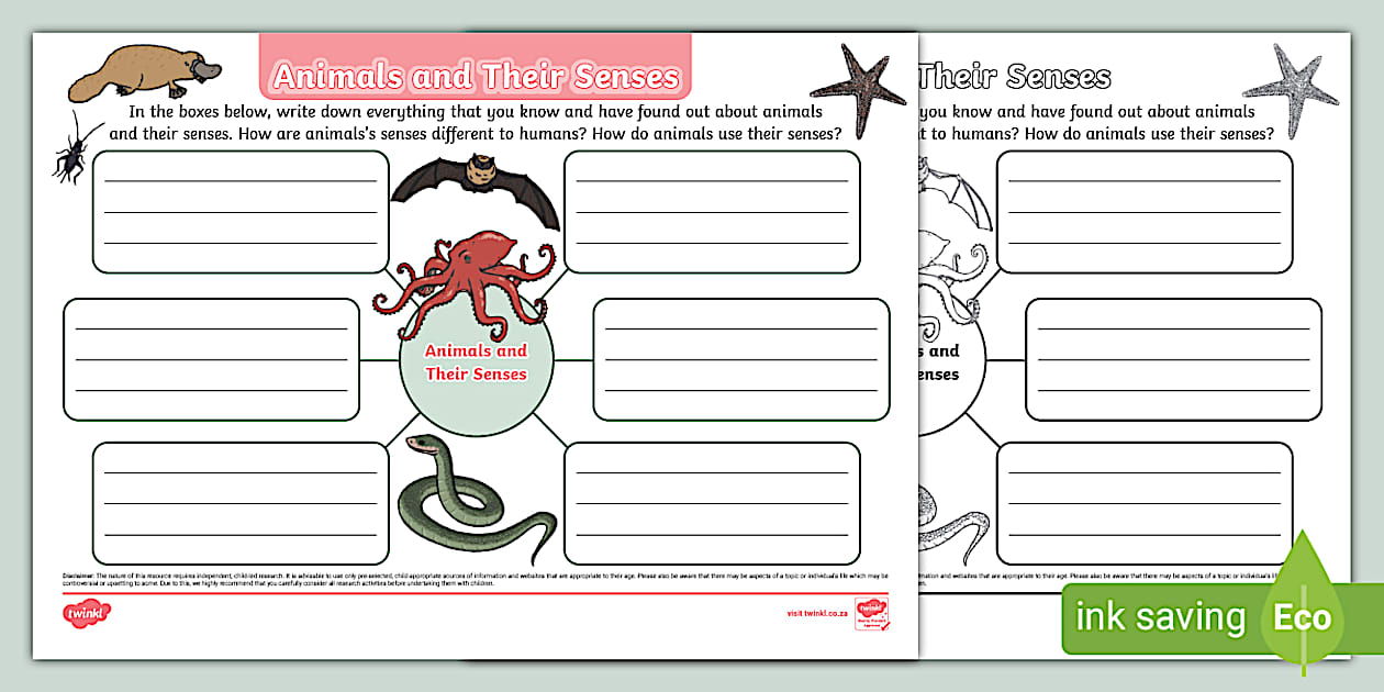 Animals and Their Senses Mind Map