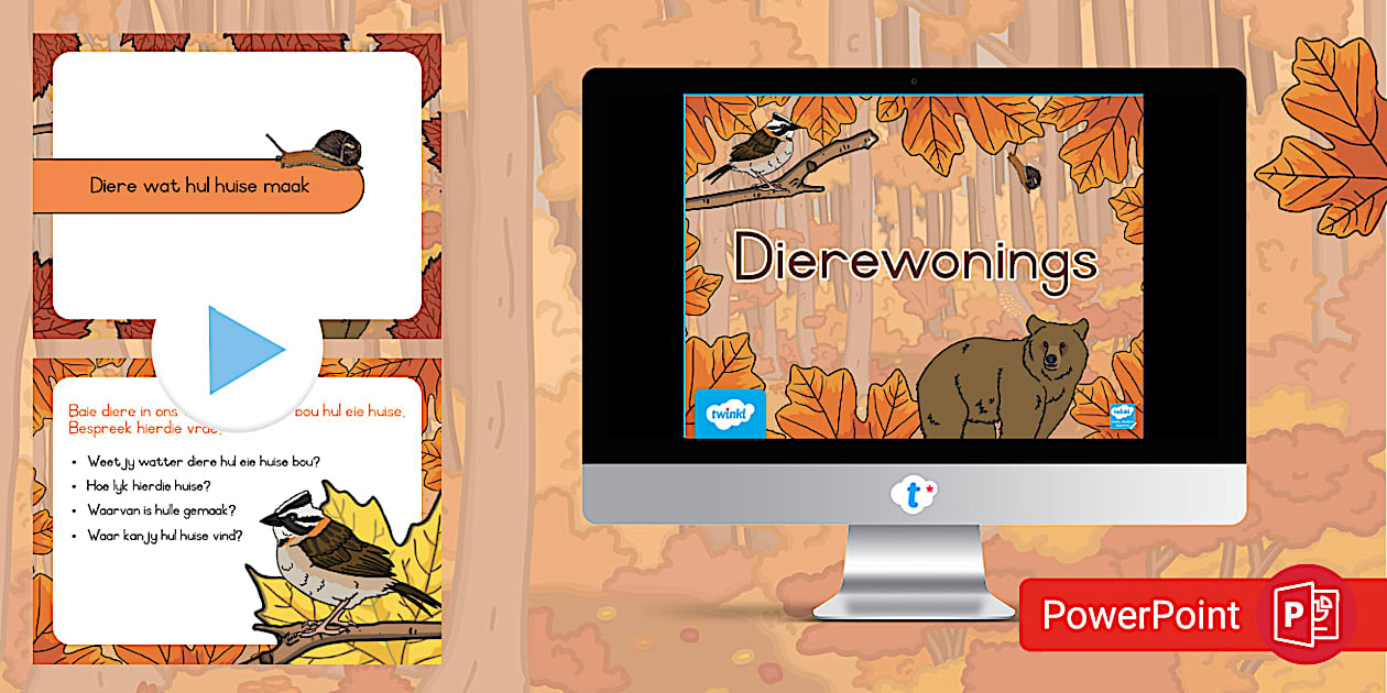Graad 2 Dierewonings PowerPoint