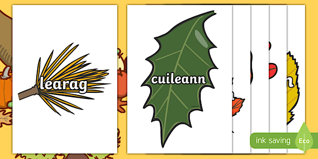 Autumn Leaves With Names Display Cut Outs Gaeilge - Twinkl