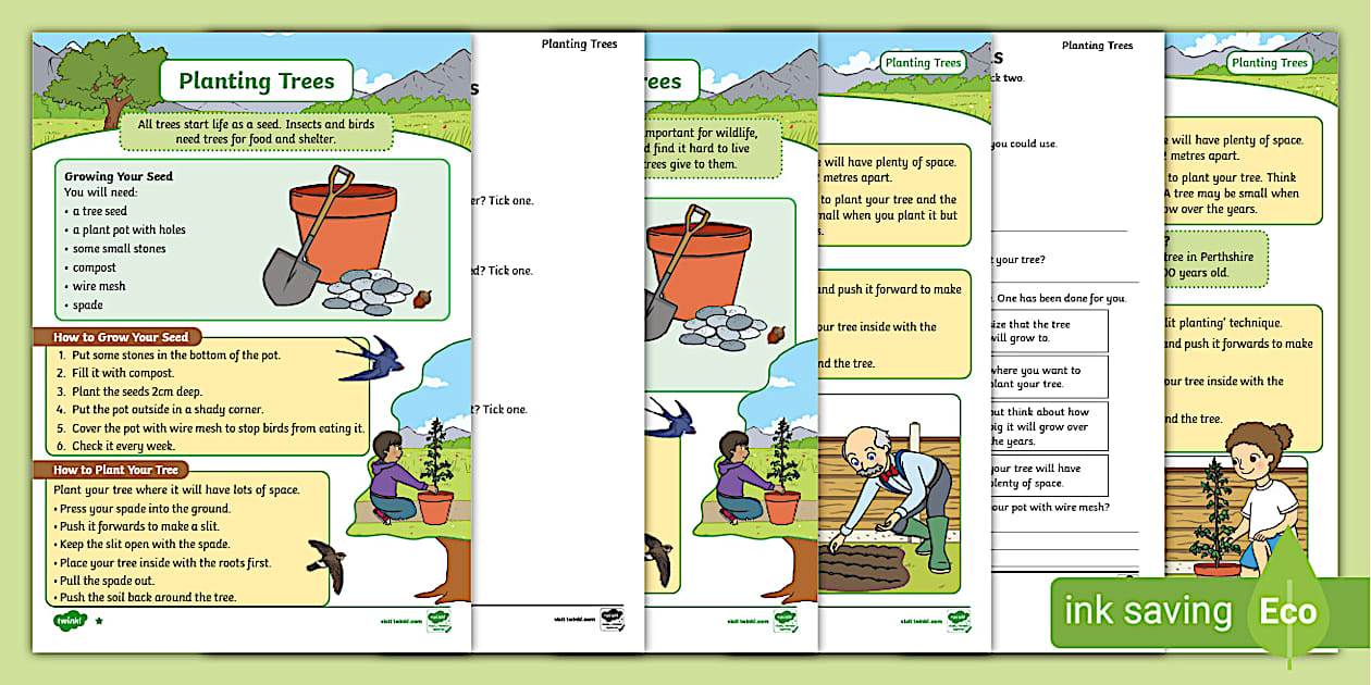 KS1 Planting Trees Differentiated Reading Comprehension Activity
