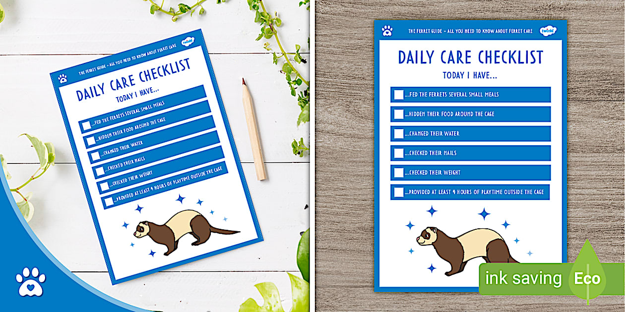 Ferret Care - Daily Checklist - Pet Care - Twinkl Pets