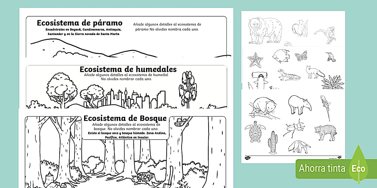 Ecosistemas de Colombia para colorear | Twinkl - Twinkl