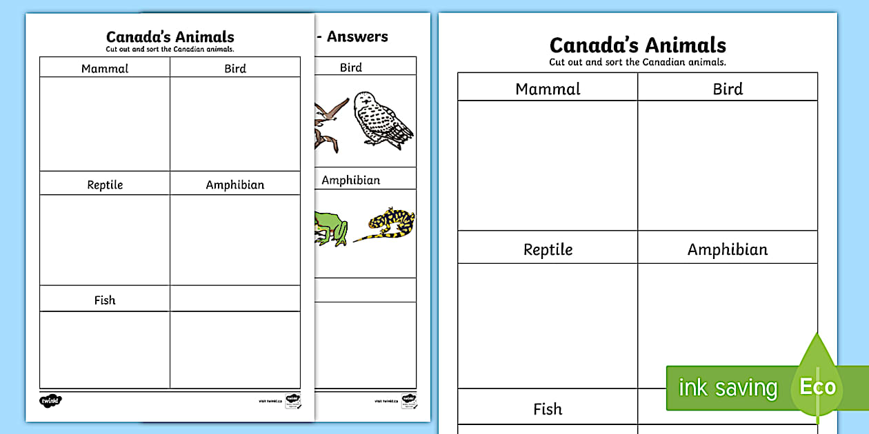 Canada's Animals Sorting Activity (teacher made) - Twinkl
