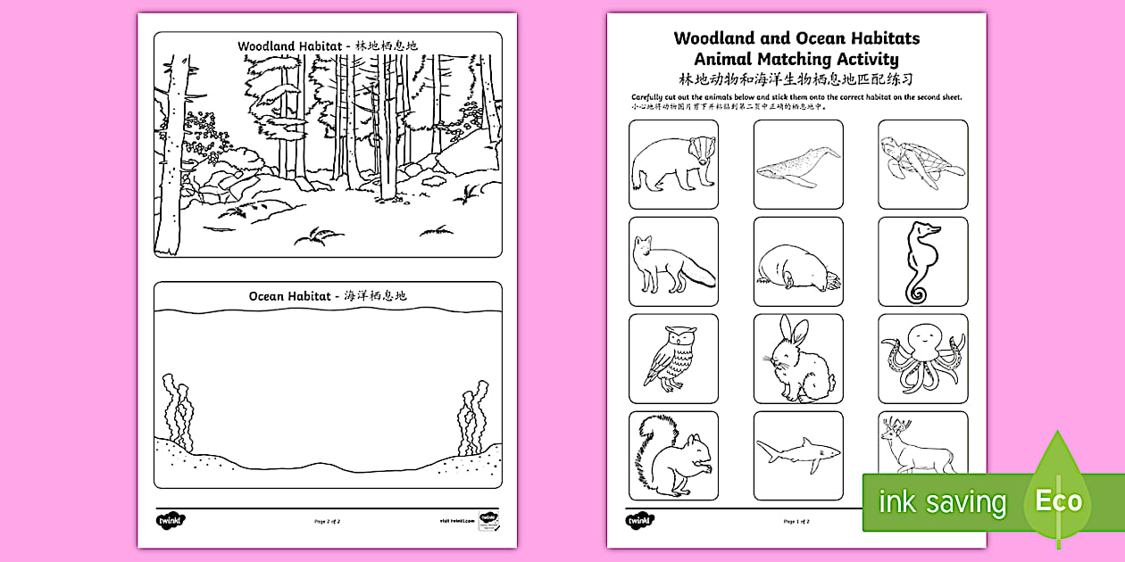 Woodland and Ocean Habitats Animal Sorting Worksheet / Worksheet