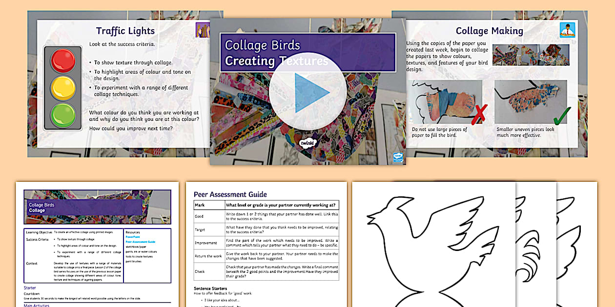 Collage Birds Lesson 2: Collages (teacher made) - Twinkl
