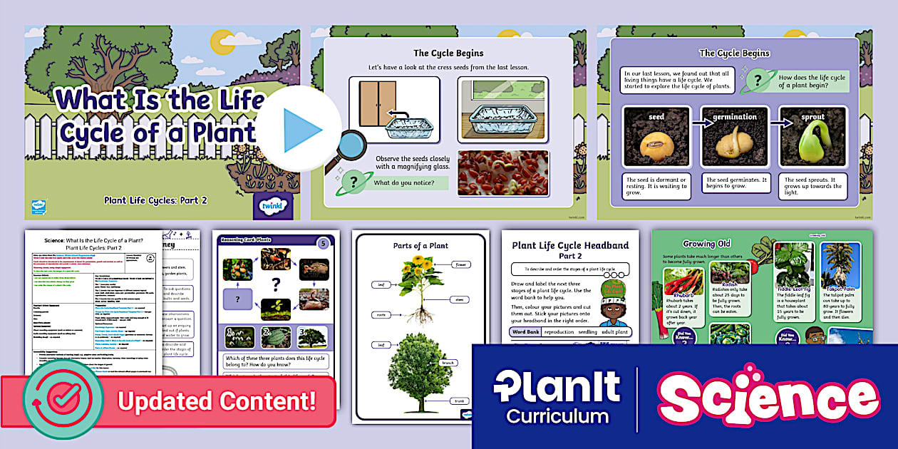 Science: Plants: What Is the Life Cycle of a Plant? Year 2: Lesson 5