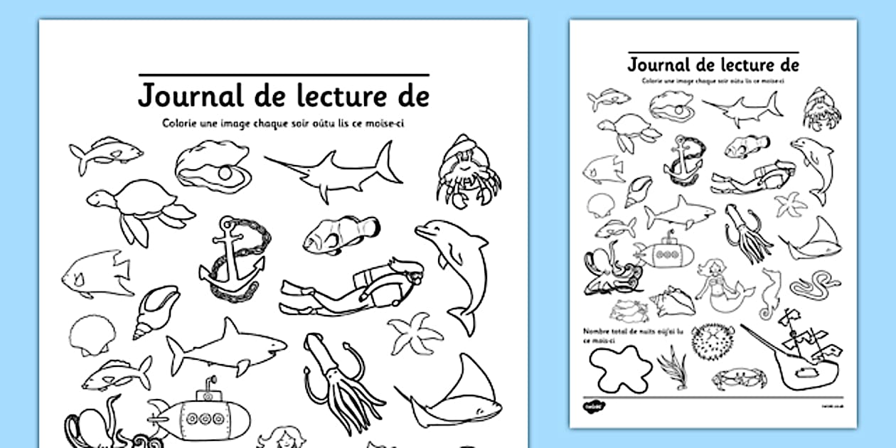 Journal de lecture de Français (teacher made) - Twinkl