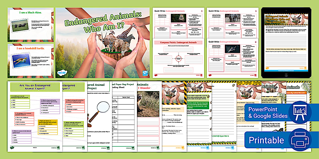 Fourth Grade Endangered Animals Lesson Pack (teacher made)