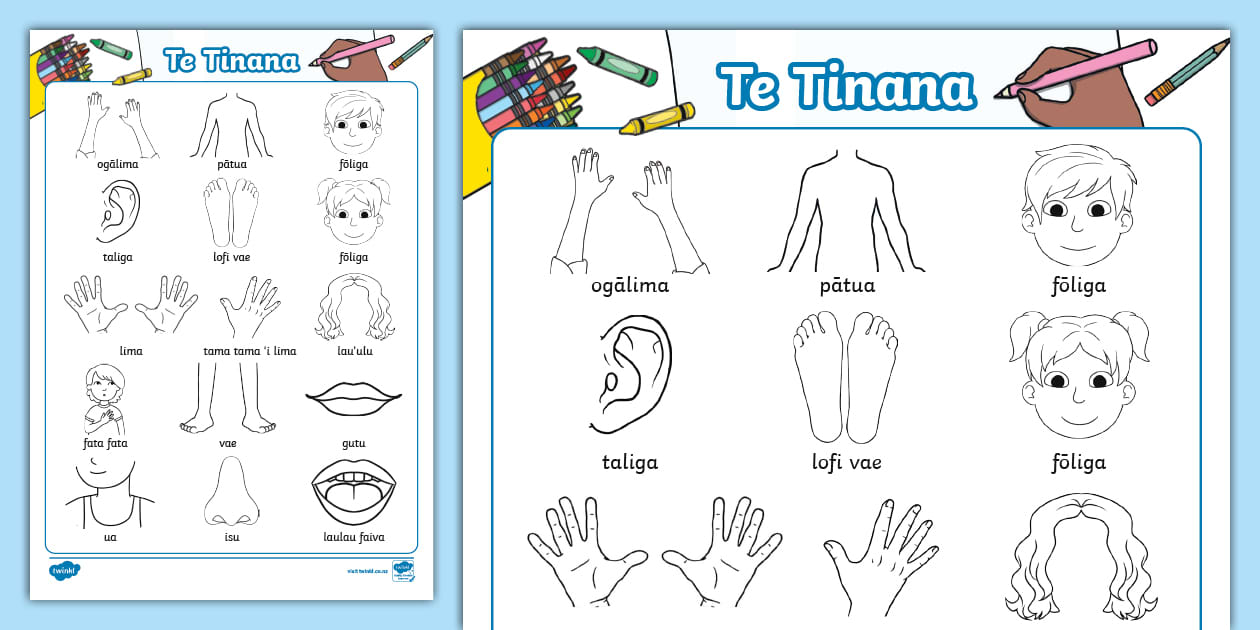 My Body Dictionary Colouring Sheet in Samoan - Twinkl