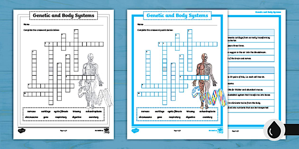 Genetic And Body Systems Crossword (teacher made) - Twinkl